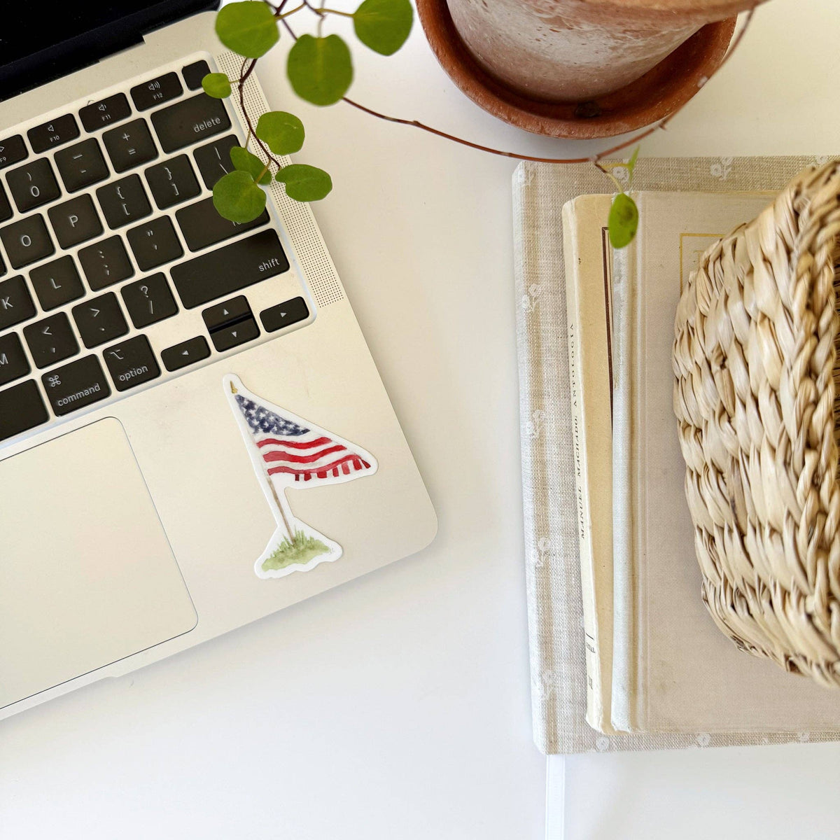 American Flag Sticker – AGAPANTHUS